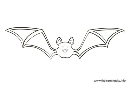 Bat Flashcard – The Learning Site