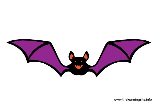 Bat Flashcard – The Learning Site